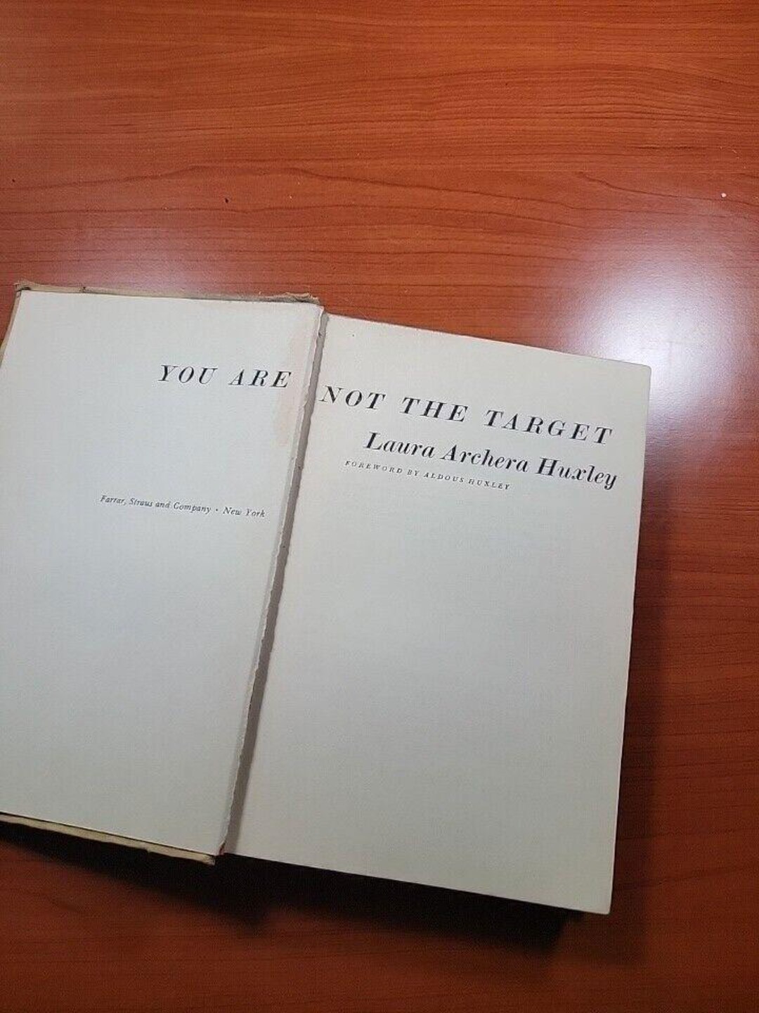 You Are Not the Target by Huxley, Laura A. 1st Edition - Etsy