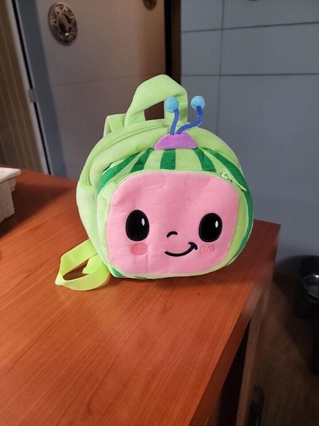 Boy Girl Birthday Coco Melon Outfit Backpack Purse Watermelon Dress ...