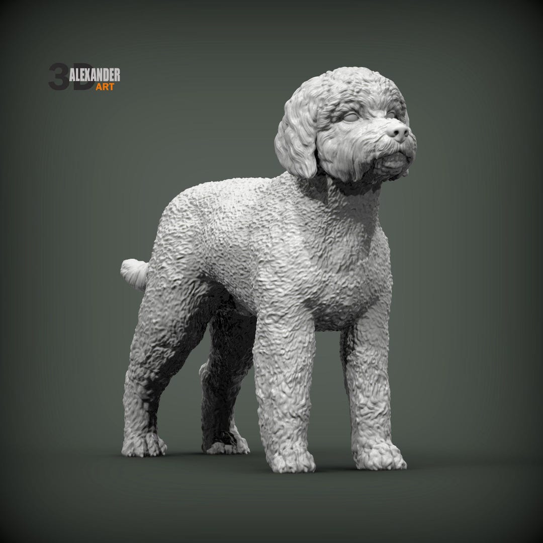 3D Printed Lagotto Romagnolo Dog Statue, Miniature Dog Statue, Dog Home ...