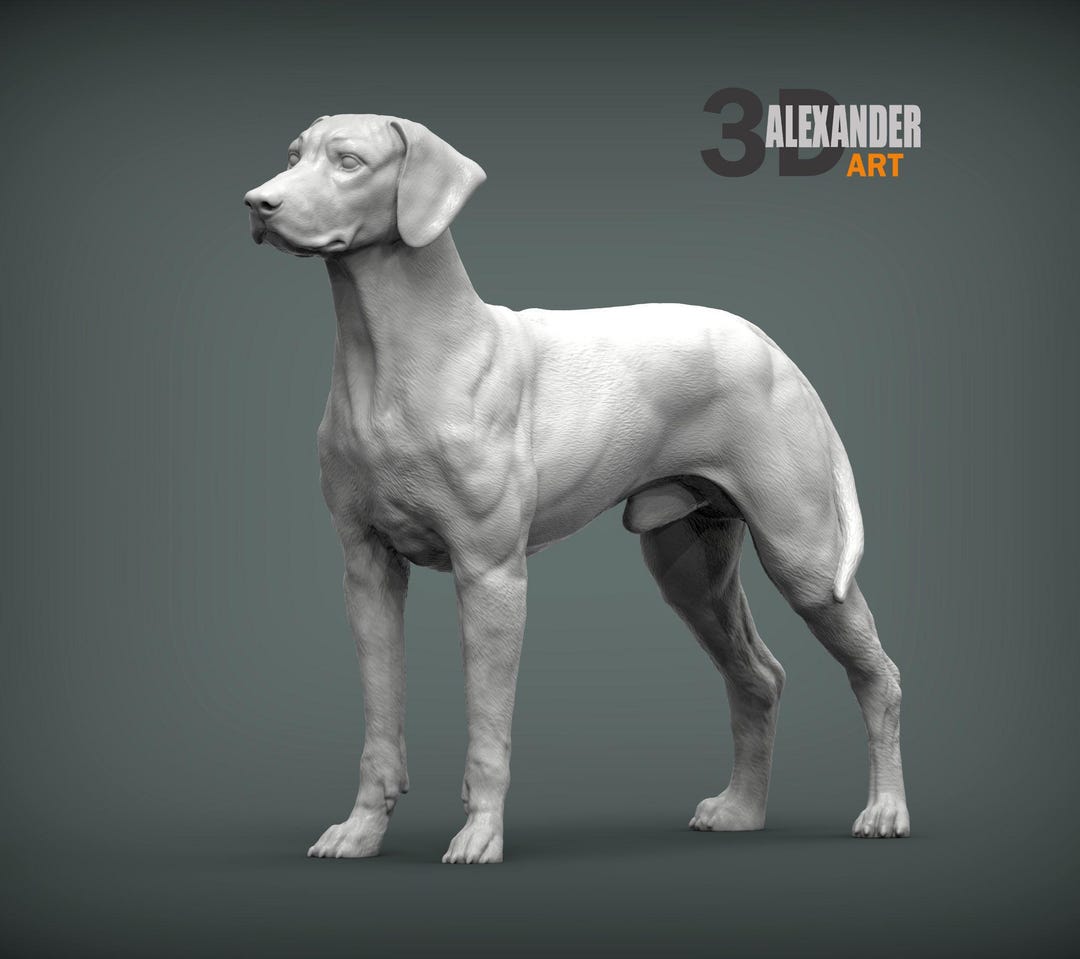 3D Printed Rhodesian Ridgeback Dog Statue, Miniature Dog Statue, Dog ...