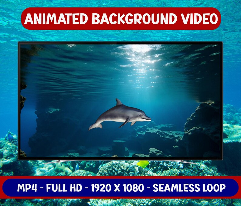 Animated Background - Cute Dolphin - Seamless Loop - Animated Video ...