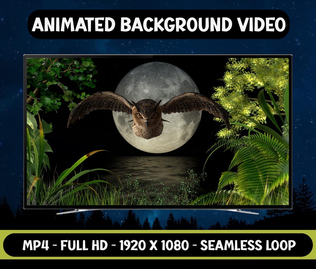 Great Horned Owl Flying at Night 3D Seamless Loop Animated Video - Full ...