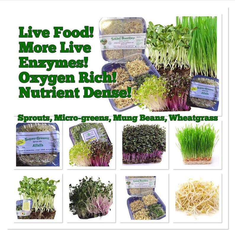 Microgreen Kit - Etsy