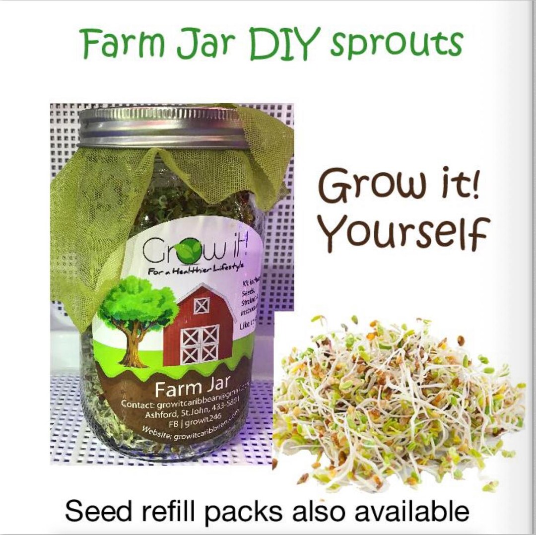 Adult Farm Jars, Sprouting Kit - Etsy