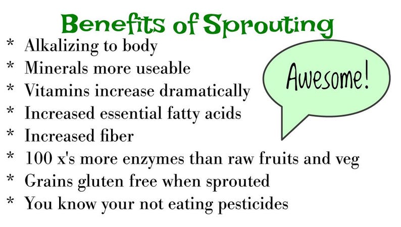 Microgreen Kit - Etsy