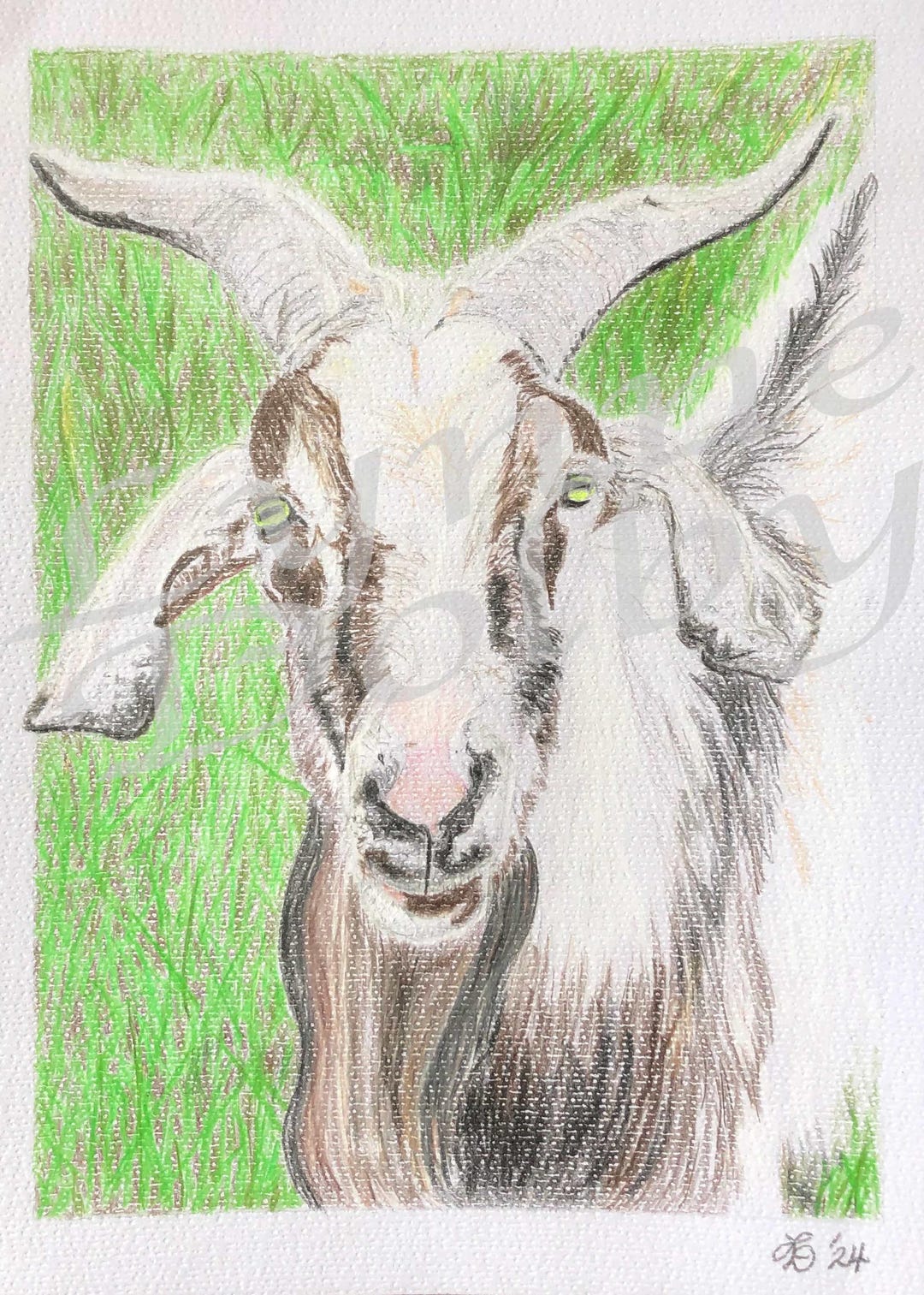 Jacob the Goat— Digital Download, Goat, Farm, Farm Animals, White Goat ...