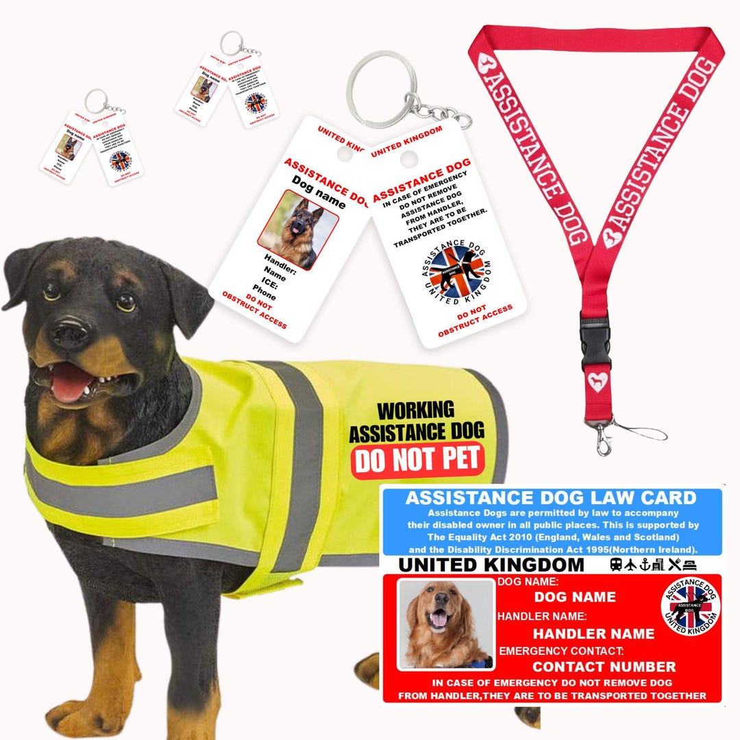 Assistance Dog Support Dog Vest Set – Customizable Vest With ...