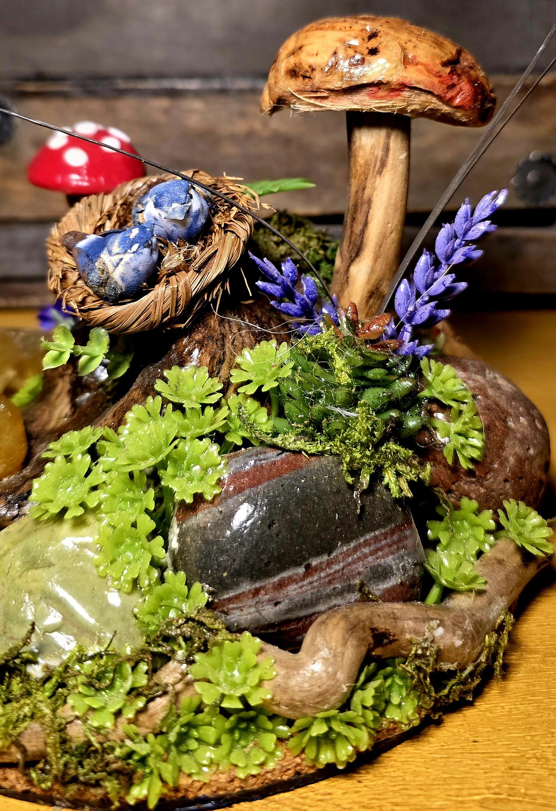 Alaska Decor, Seashells, Fish, Set 4 Items, One of a Kind, Memorabilia ...