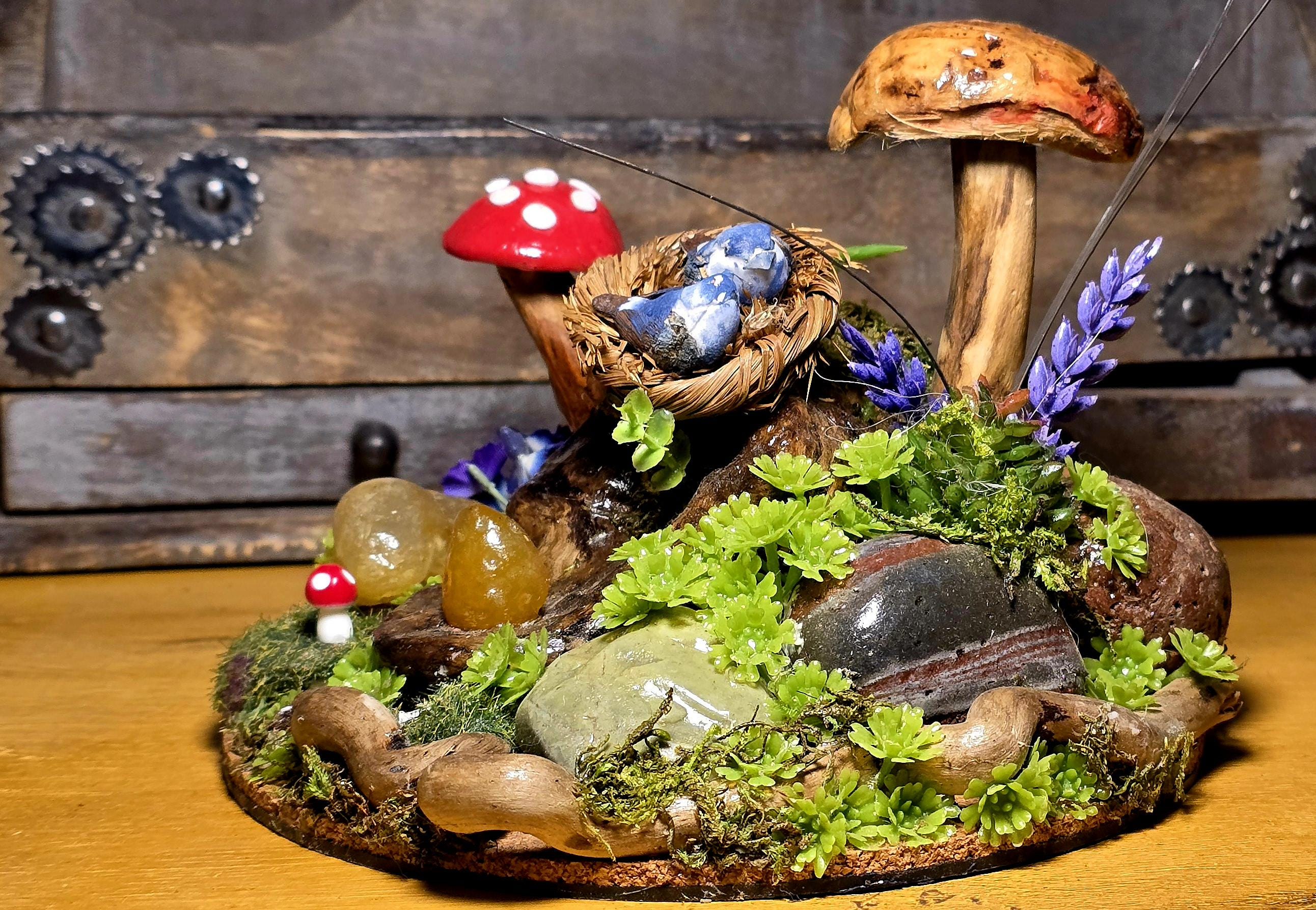 Alaska Decor, Seashells, Fish, Set 4 Items, One of a Kind, Memorabilia ...