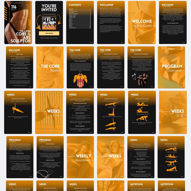 6 Week AB WORKOUT Plan - Get a Flat Stomach With No Equipment Core Abs ...