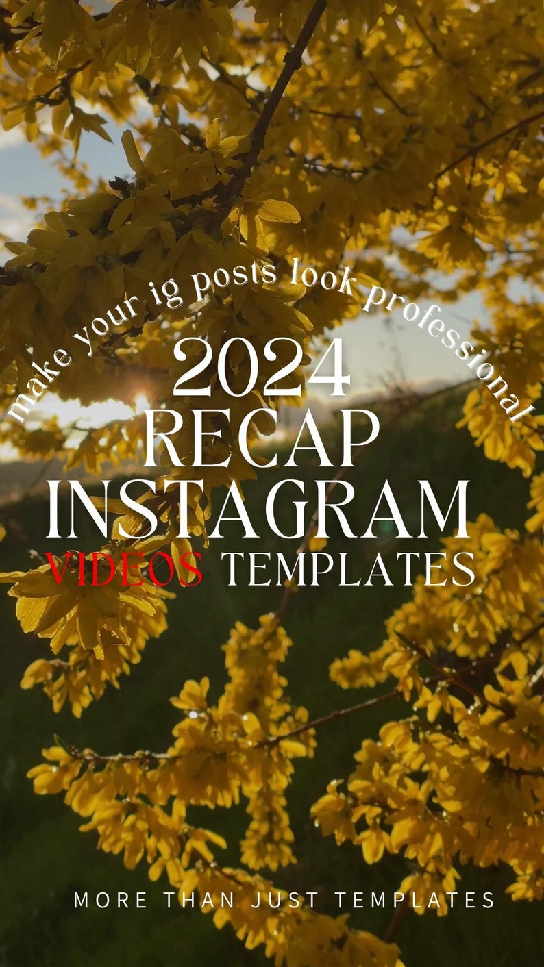 Recap, Recap 2024, Wrapped, Instagram Story Template, IG Stories ...