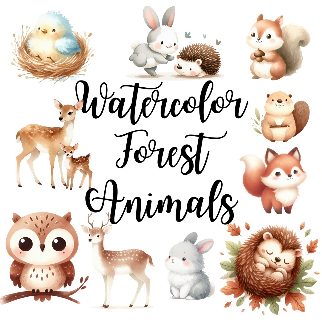 Watercolor Forest Animals Clipart Pack-10 Cute Wildlife Illustrations ...