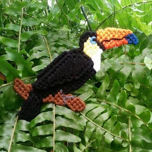 fruit loops bird type