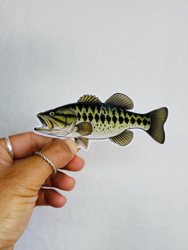 Large Mouth Bass Sticker Fishing Bait Lure Tackle Boat Car Bumper ...