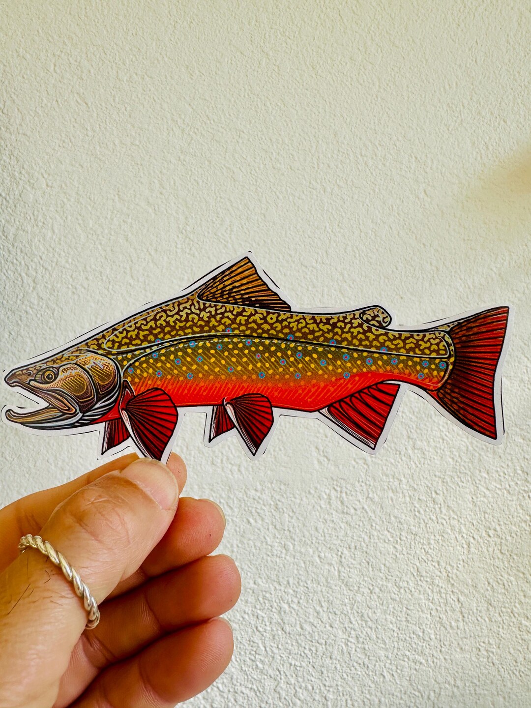 Brook Trout Sticker Fly Fishing Rainbow Brown Brook Trout Fishing Decal ...