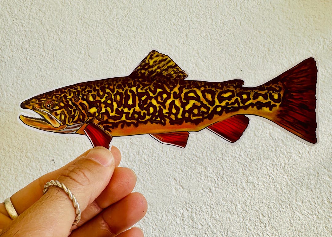 Tiger Trout Sticker Fly Fishing Rainbow Brown Brook Trout Fishing Decal ...