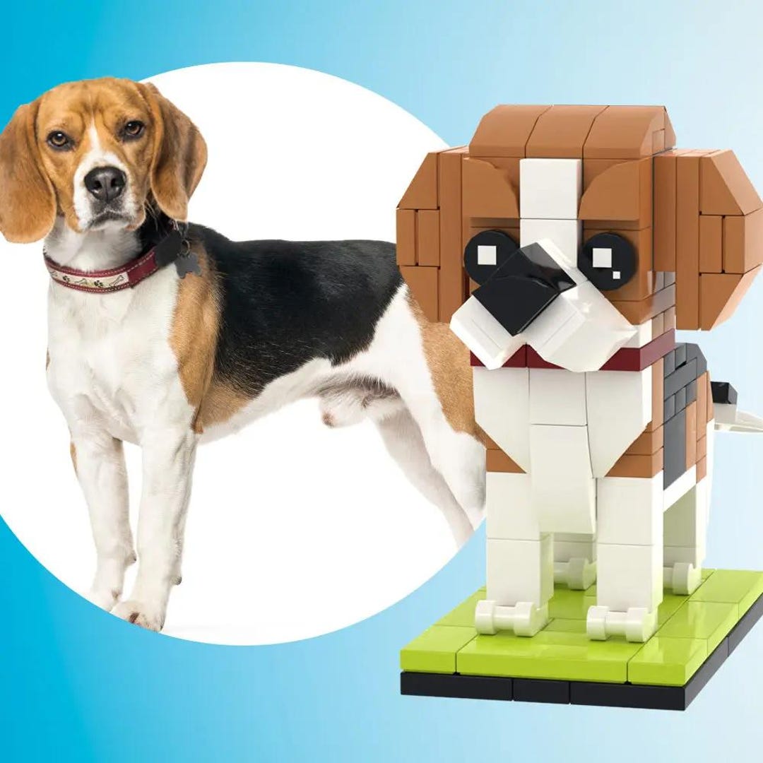 Beagle - 1 Dog Photo Custom Brick Figures Small Particle Block Brick Me ...