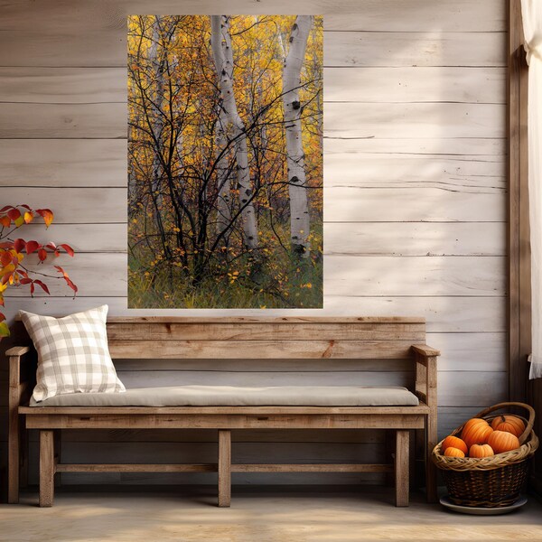 Aspen Tree Art - Etsy