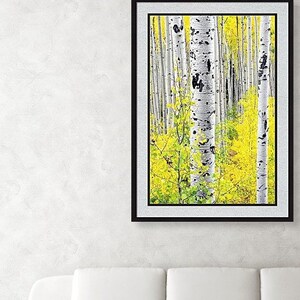 Aspen Trees, Fall Trees, Fall Tree Decor, Colorado Art, Cabin Decor ...