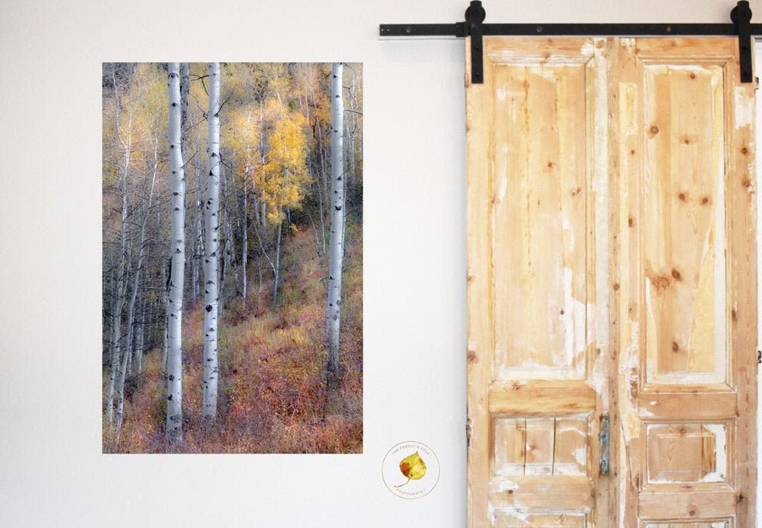 Aspen Trees Fall Tree Decor Colorado Art Rustic Wall Art - Etsy