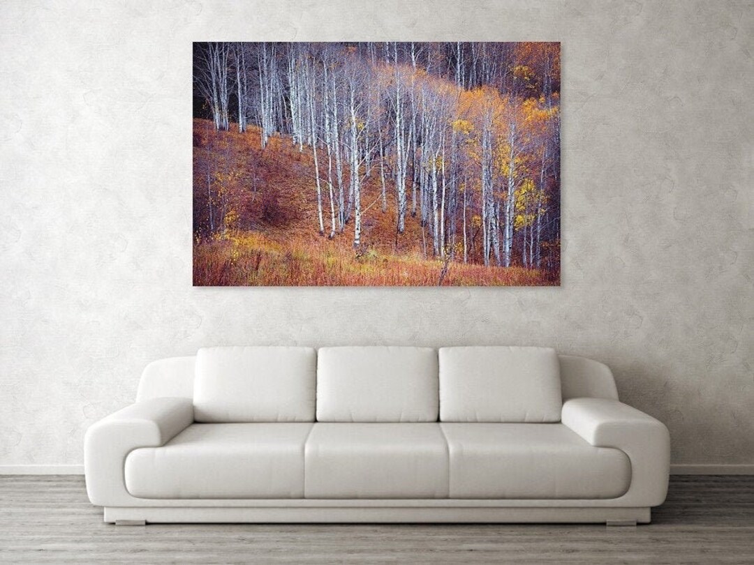 Fall Aspen Photo, Aspen Trees Fall, Colorado Art, Fall Meadow, Rustic ...