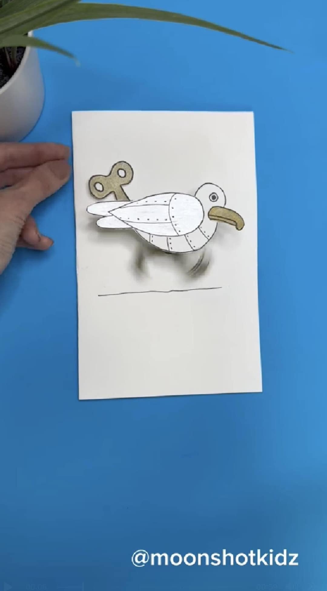 Moonshotkidz "scurrying Seagull" Template & Instructions for ...