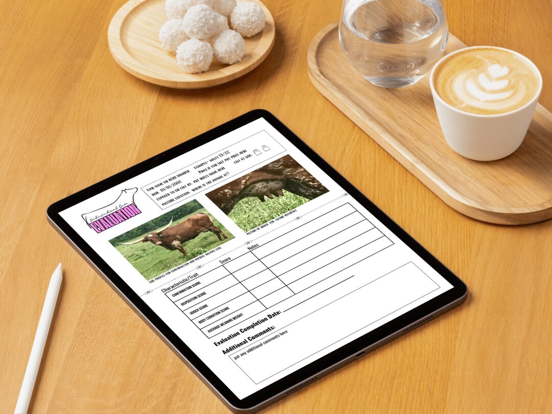 Cow Evaluation Sheet - Etsy