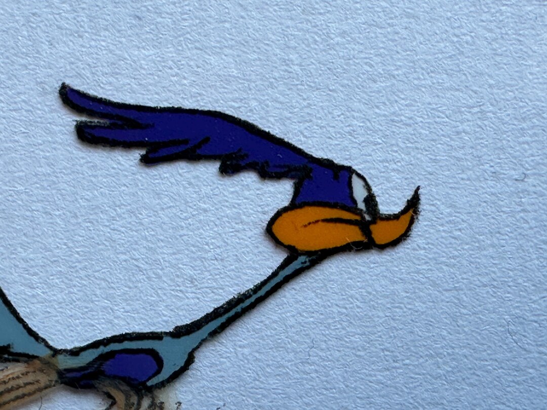 Warner Brothers Road Runner Hand-painted Animation Cel - Etsy
