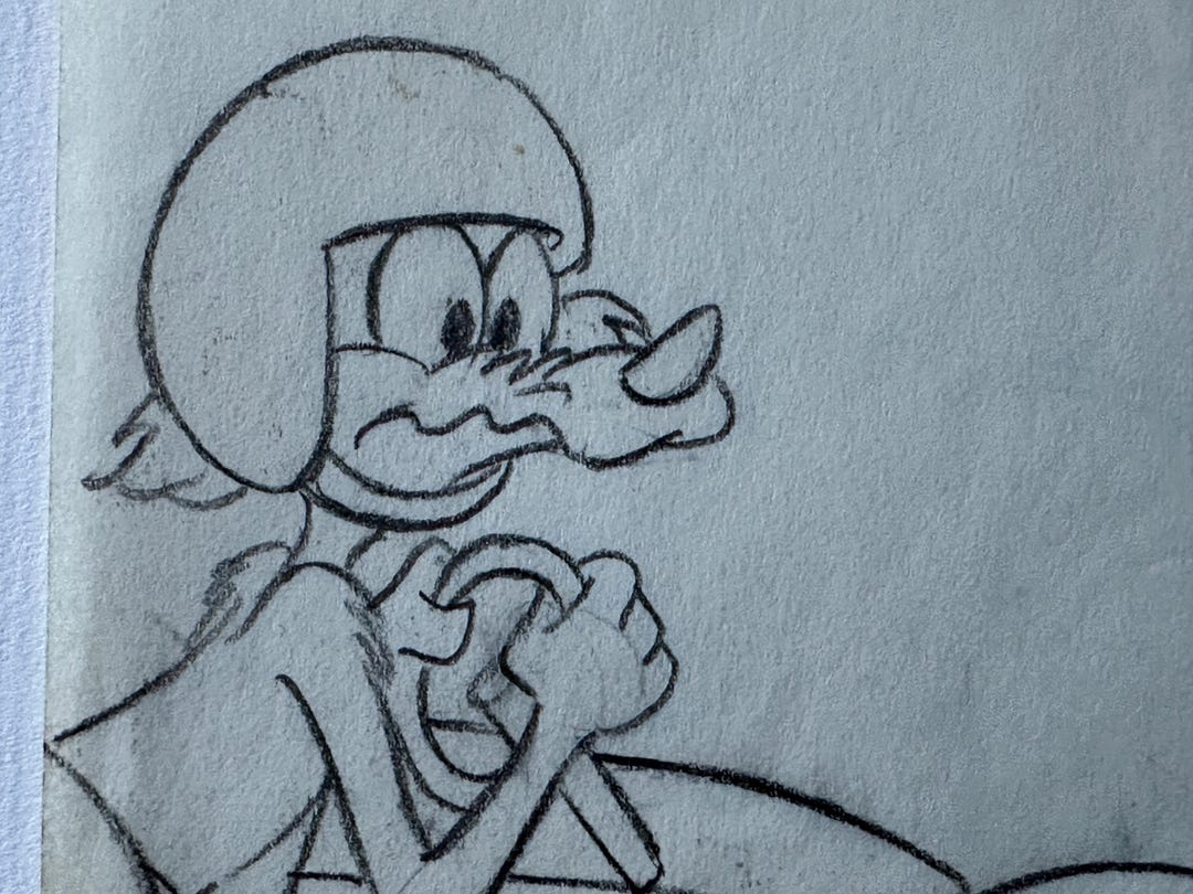 Warner Brothers Road Runner National Parks Hand-drawn Production ...