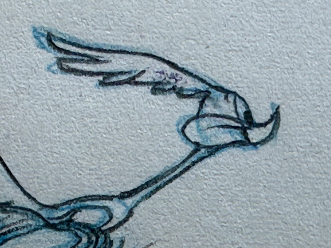 Warner Brothers Road Runner Hand-drawn Production Drawing - Etsy
