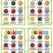 2020 ABC Girl Scout LANYARD Cookie List NO Prices, Printable Booth Menu ...