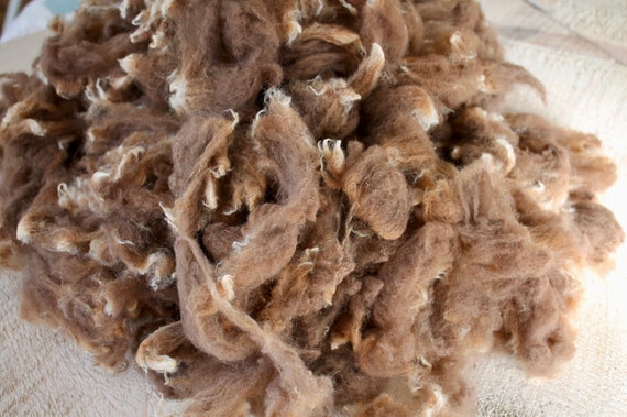 CVM Wool Dark moorit washed locks | Etsy