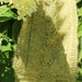 Jonalyn Scarf Pattern - Etsy