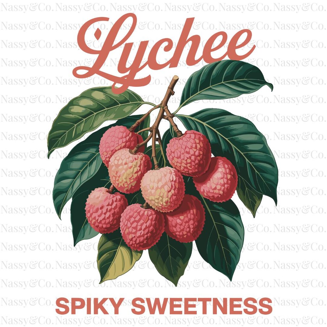 Lychee Spiky Sweetness, Farmers Market Fruits, Trendy Summer (PNG File ...