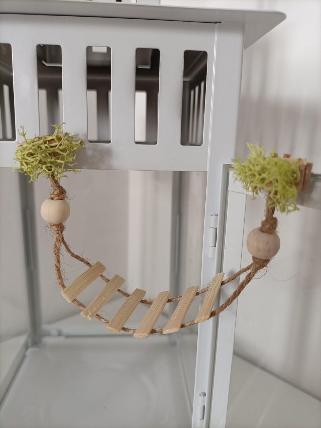 Wooden Bridge for Jumping Spiders - Etsy