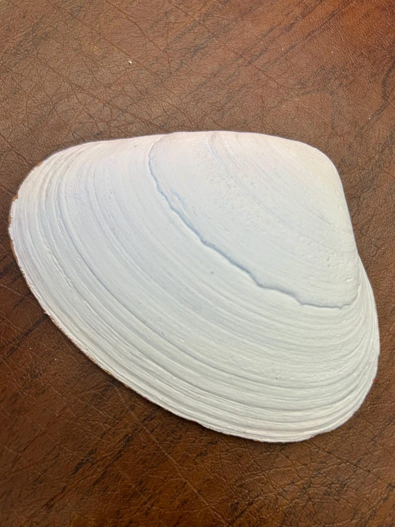 Ring Dish Crab Design - Etsy