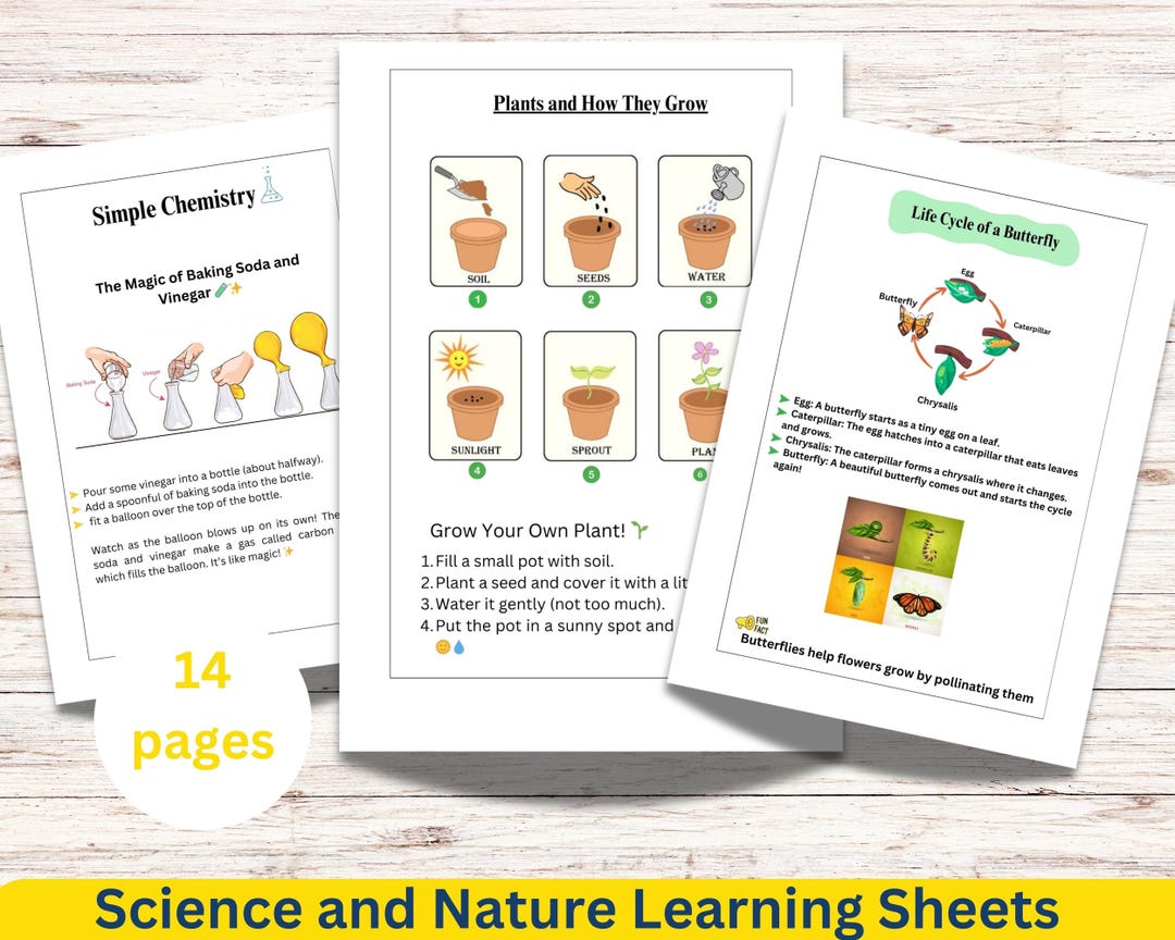 Educational Learning Sheets for Kids | Animals and Habitats | Plants ...