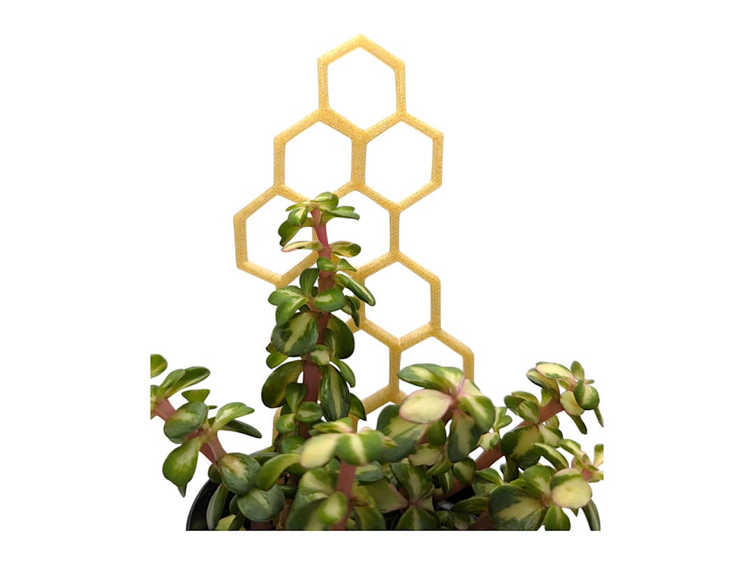 3D Printed Trellis, Indoor House Plant Trellis, Trellises for Fairy ...