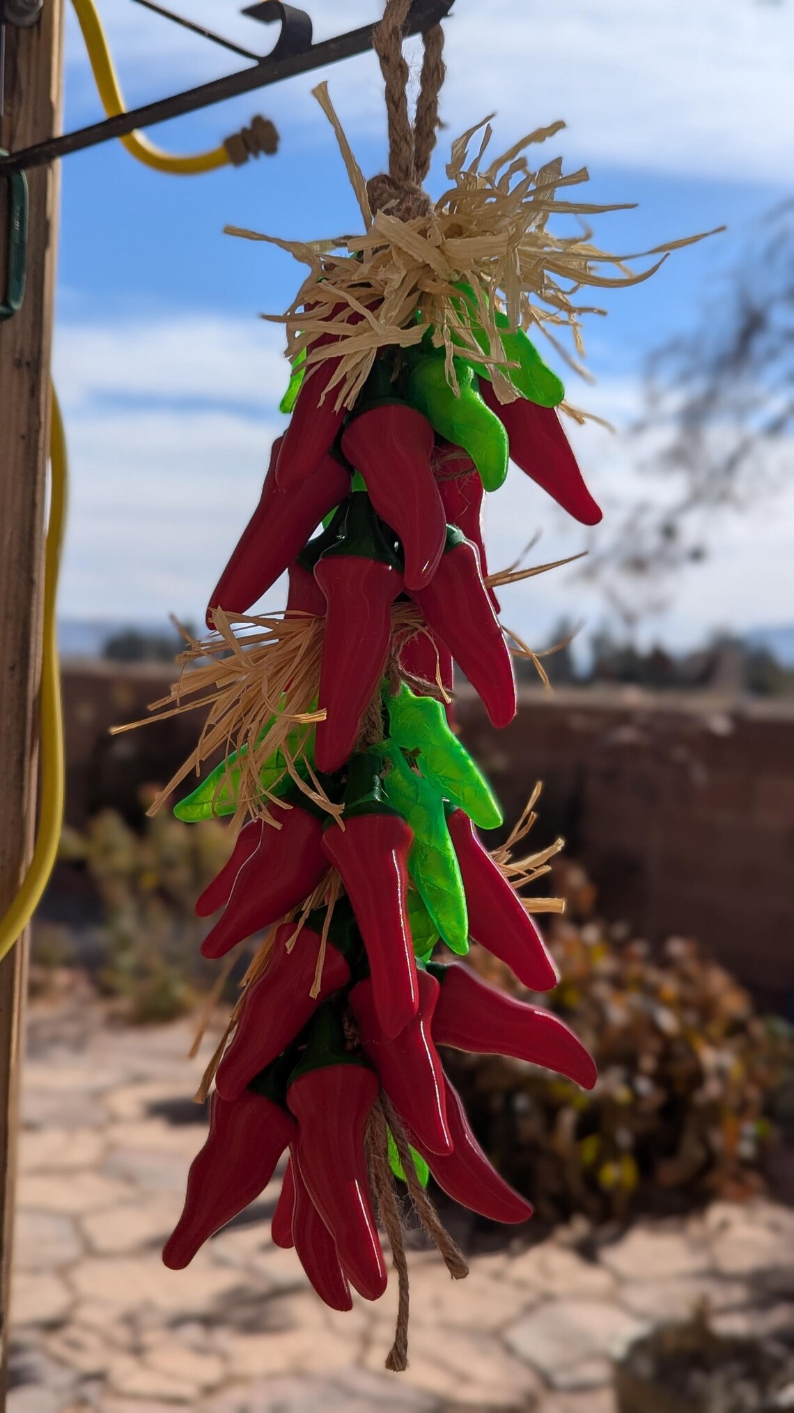 Chili Pepper Ristra 3D Printed, Southwest Chili Ristra, Chile Pepper ...