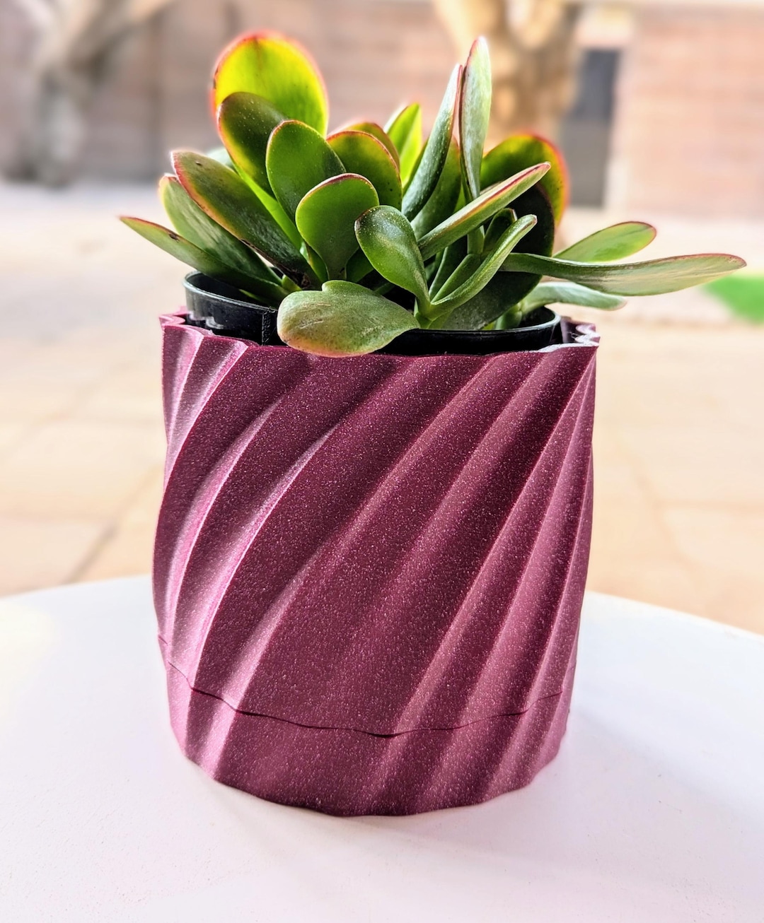 3D Printed Succulent Planter With Drainage Tray, 3D Printed Planter Pot ...