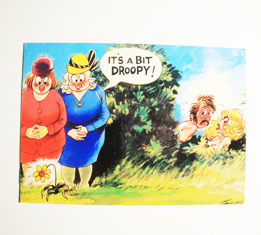 Vintage Bamforth Risque Humor Funny Seaside Comic Postcard Collection ...