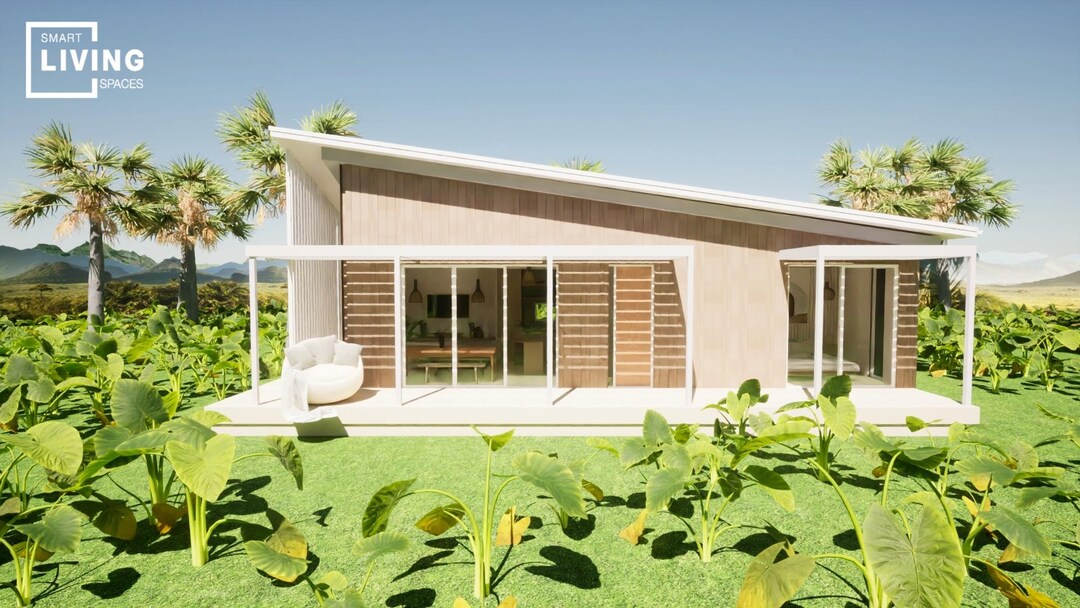 Planning Set and 3D Model Experience for Contemporary Small Single ...