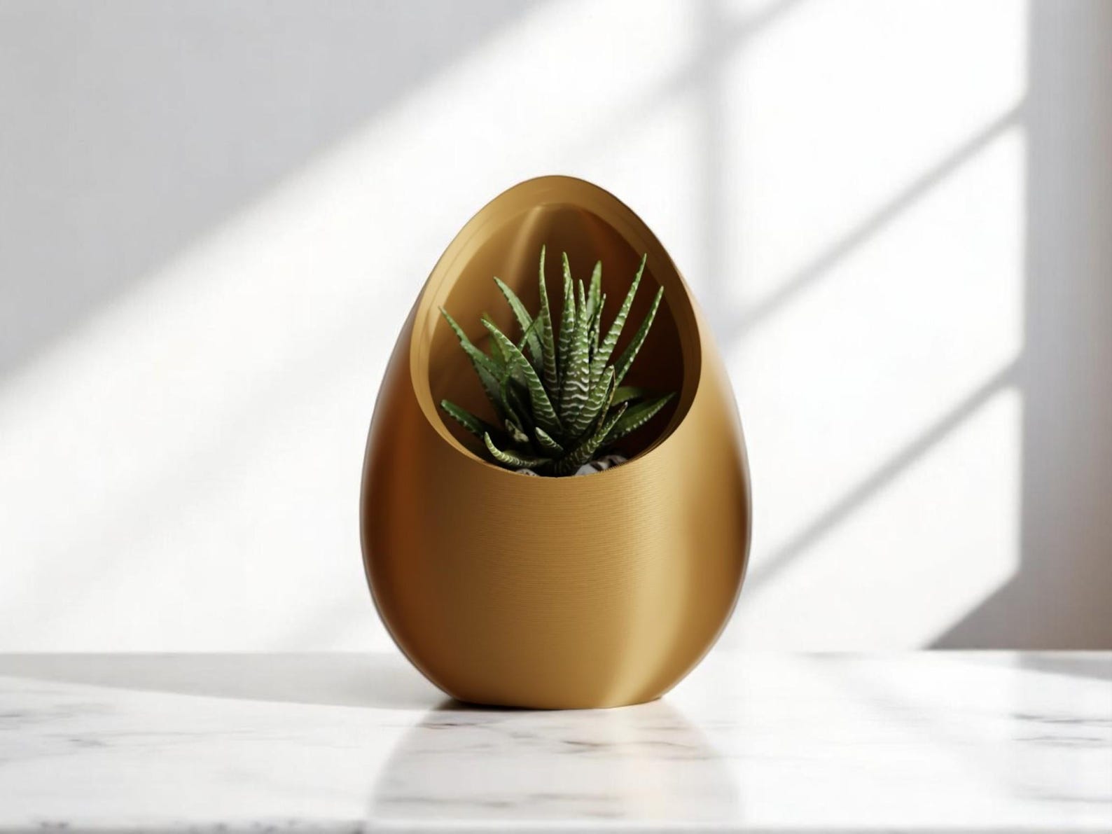 Nest Modern Egg Planter – Minimalist Flower Pot, Succulents, Cactus ...