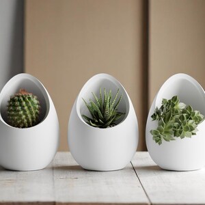 Nest Modern Egg Planter – Minimalist Flower Pot, Succulents, Cactus ...