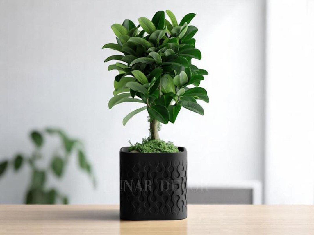 Flowform Cube Planter, Modern Geometric Plant Pot, Succulent, Herb ...