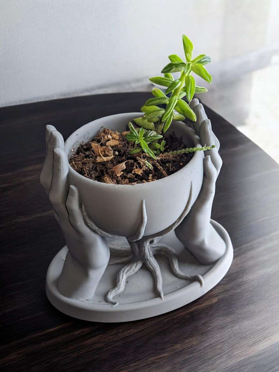 Rooted Hands Planter, Tree Branch Flower Pot Bowl, Indoor, Succulents ...