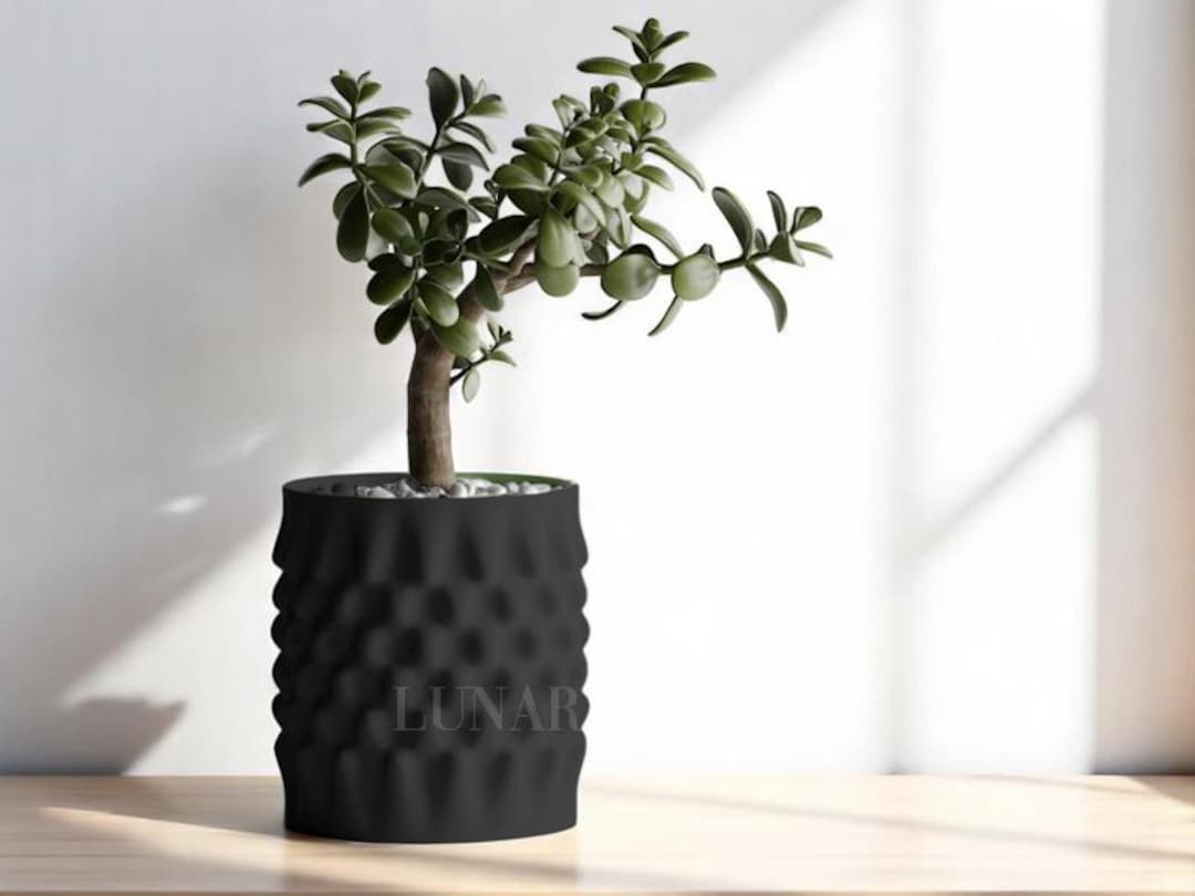 Lumobump Textured Planter, Smooth Lump Pattern Pot, Succulents, Indoor ...