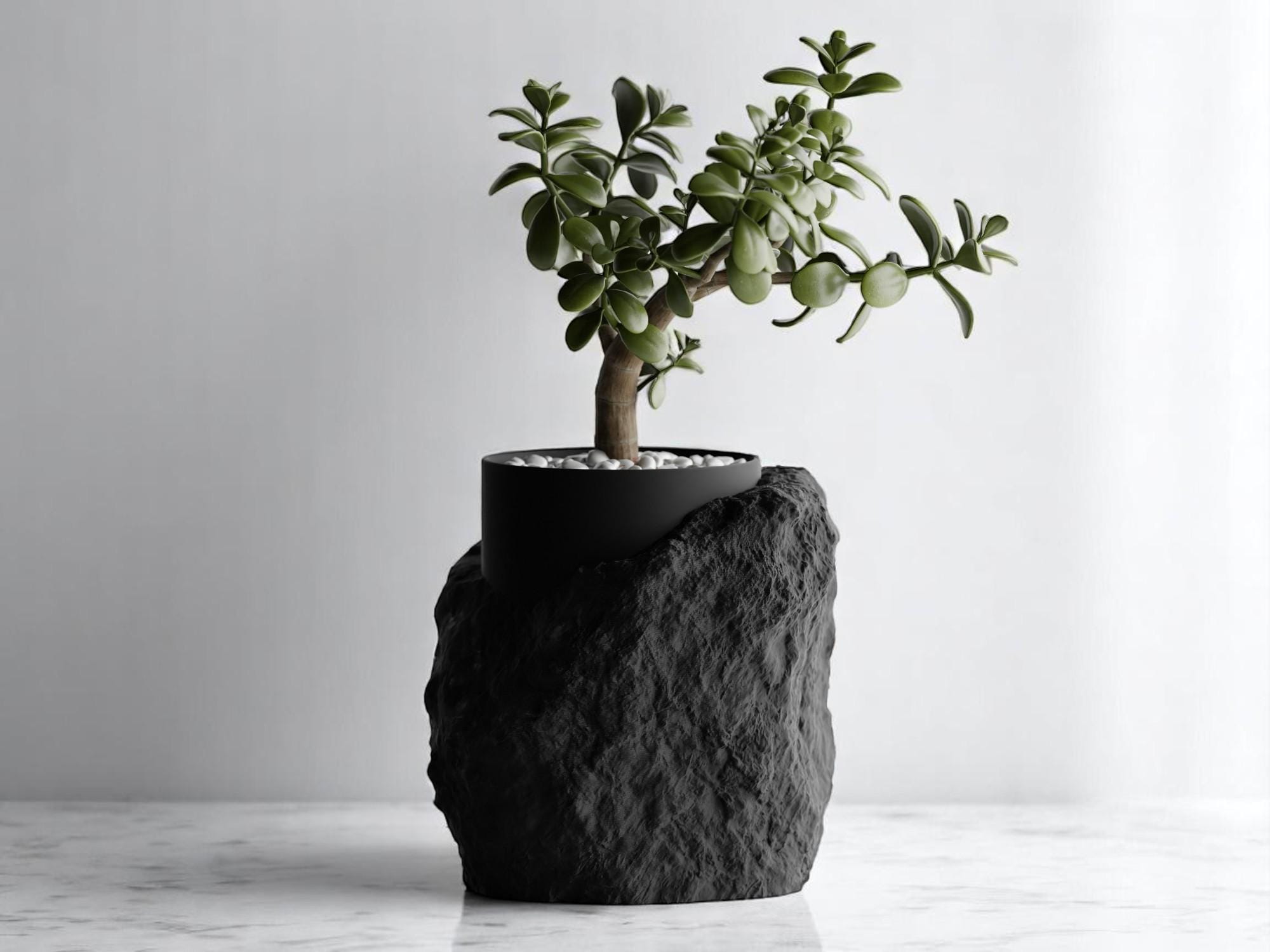 Garden Rock Flowerpot, Stone-inspired Planter, Succulent Cacti ...