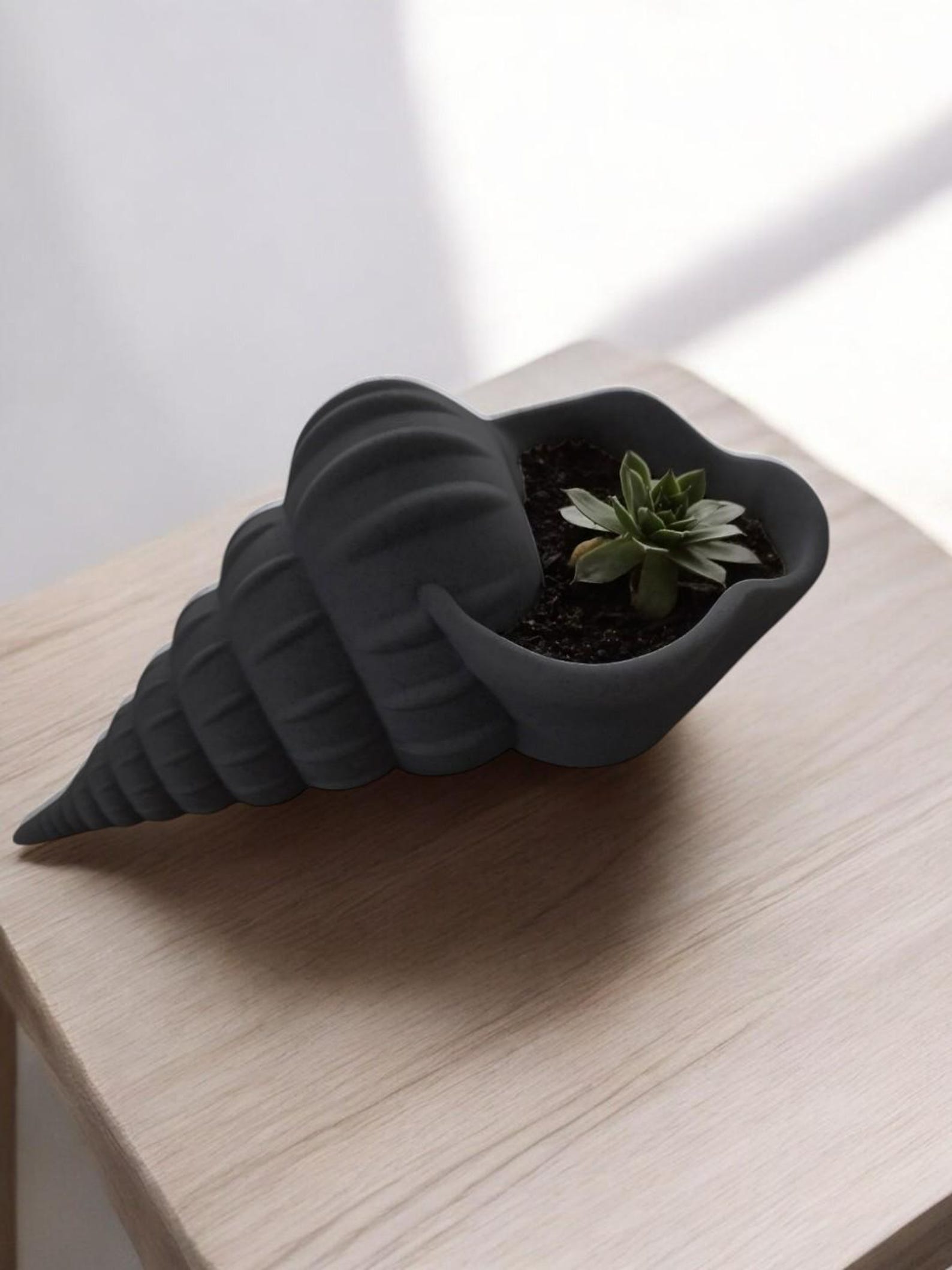 Shell Shaped Flower Pot – Coastal Planter for Succulents & Flowers ...