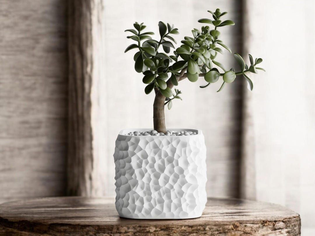 Terraforma Voronoi Planter, Modern Flowerpot, Rock Shaped Vase, Square Decorative Pot, Indoor ...